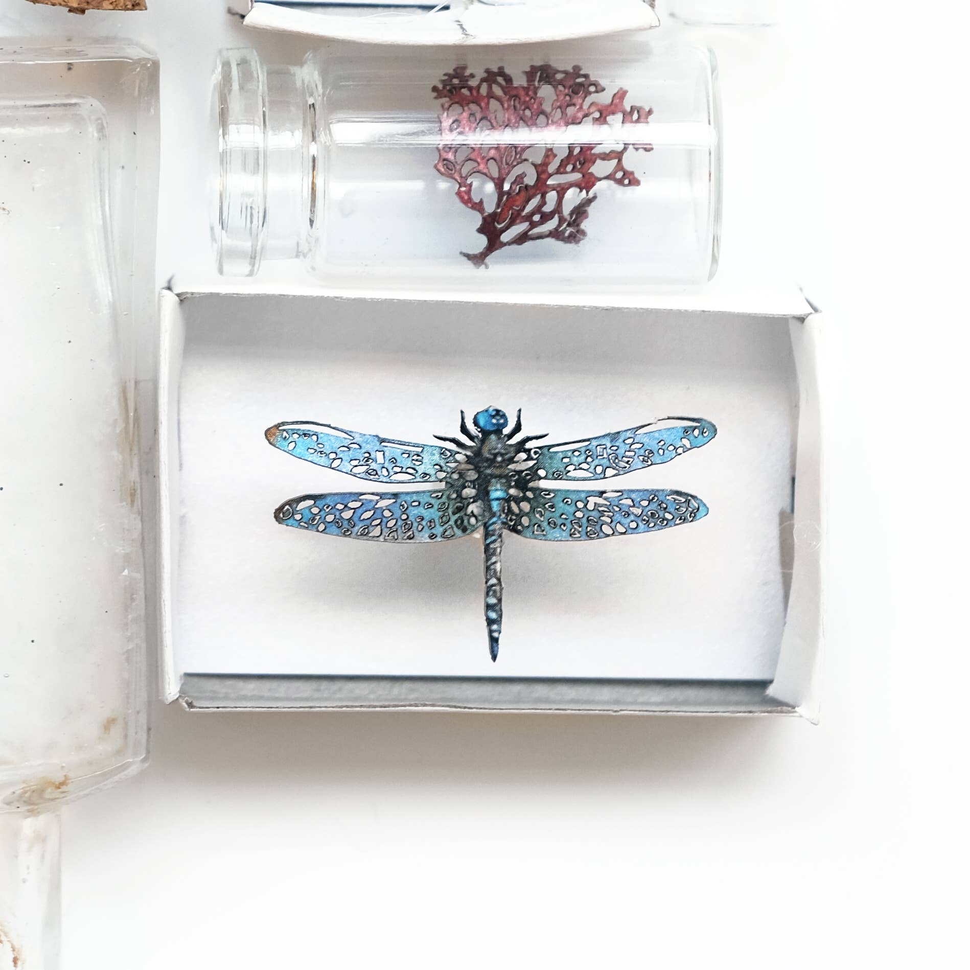 Wholesale 'Biophilia' Micro Specimen Collection for your store - Faire