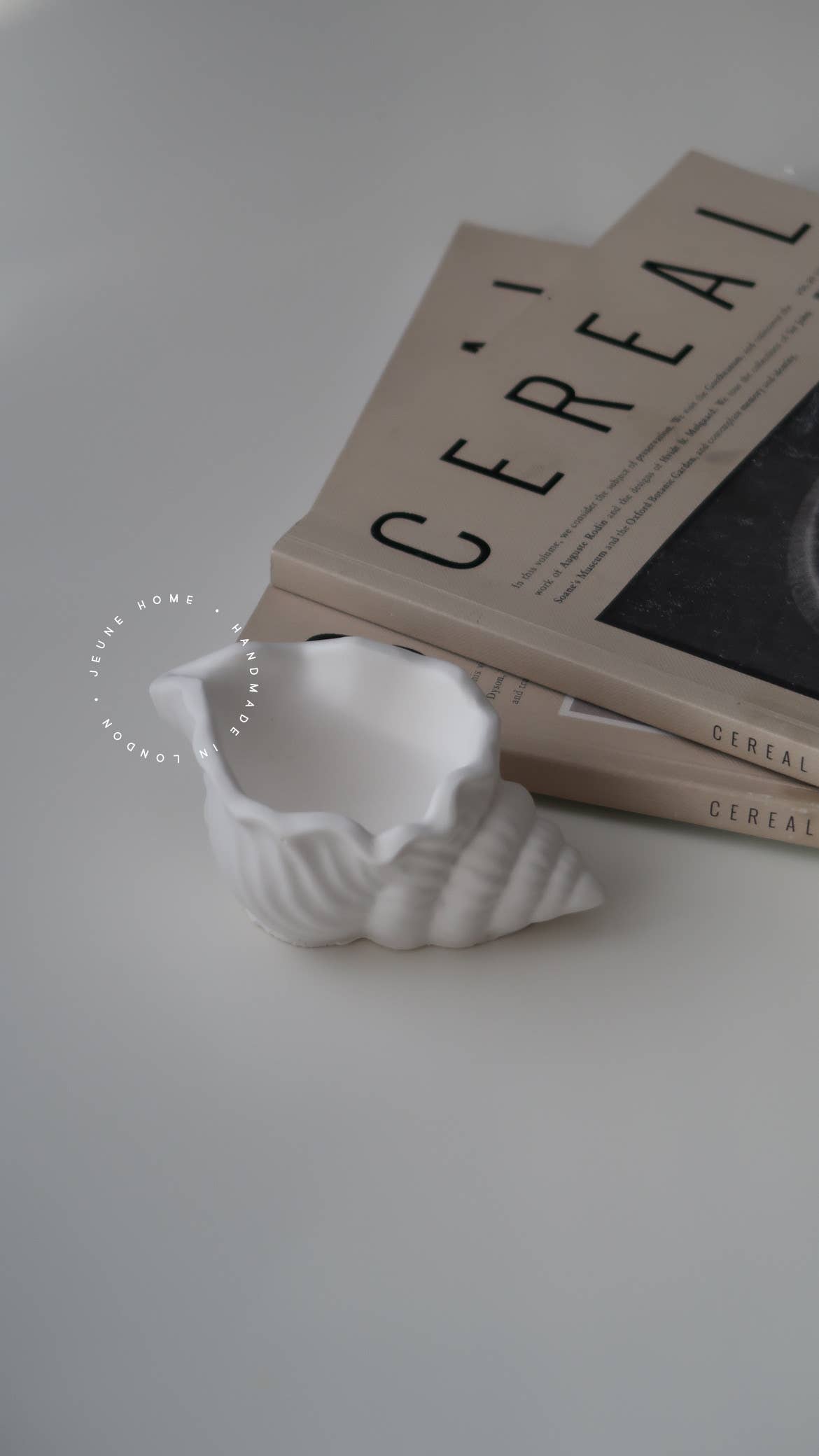 Wholesale shell dish for your store