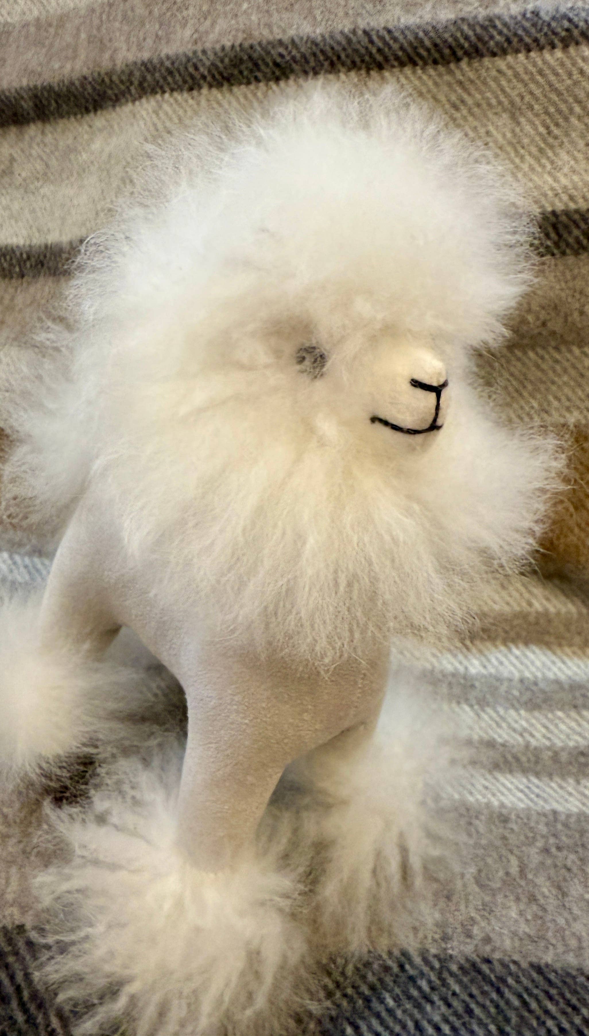 Wholesale Baby Alpaca Poodle Stuffed Toy for your store - Faire