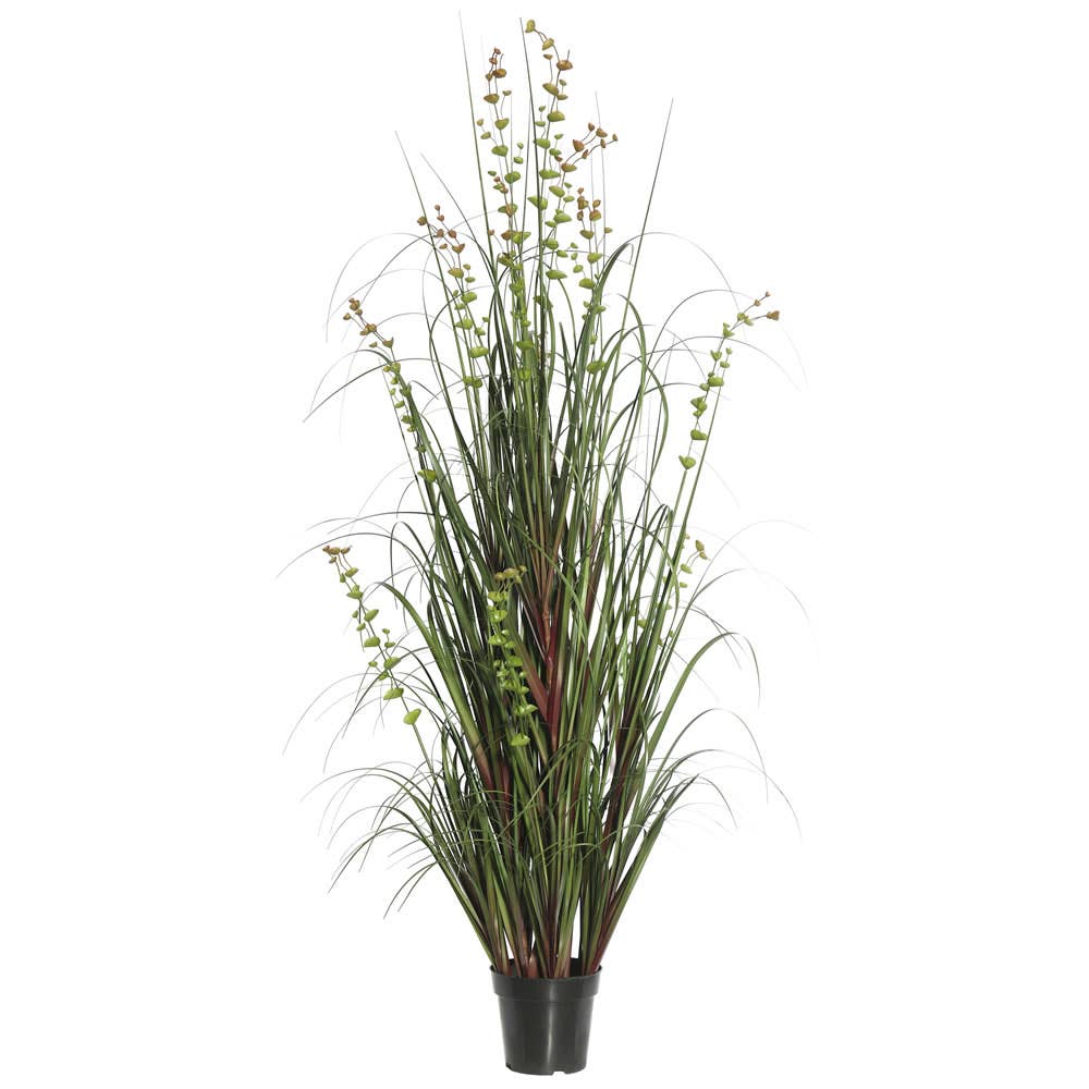 Vickerman wholesale products