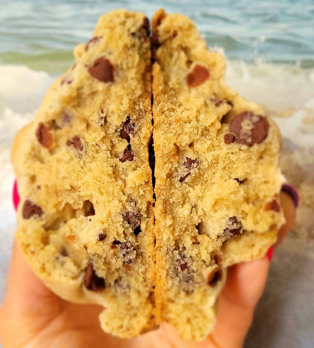 My Big Fat Cookie Wholesale Products | Buy with Free Returns on Faire.com