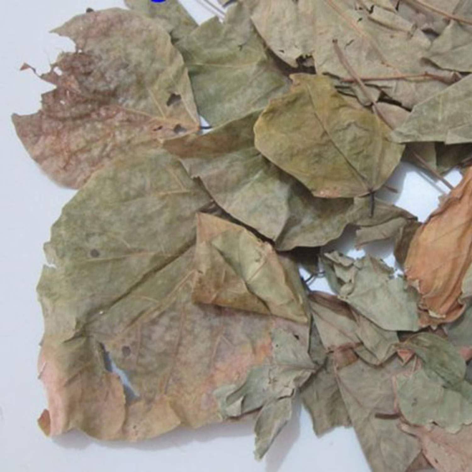 The Rike wholesale products