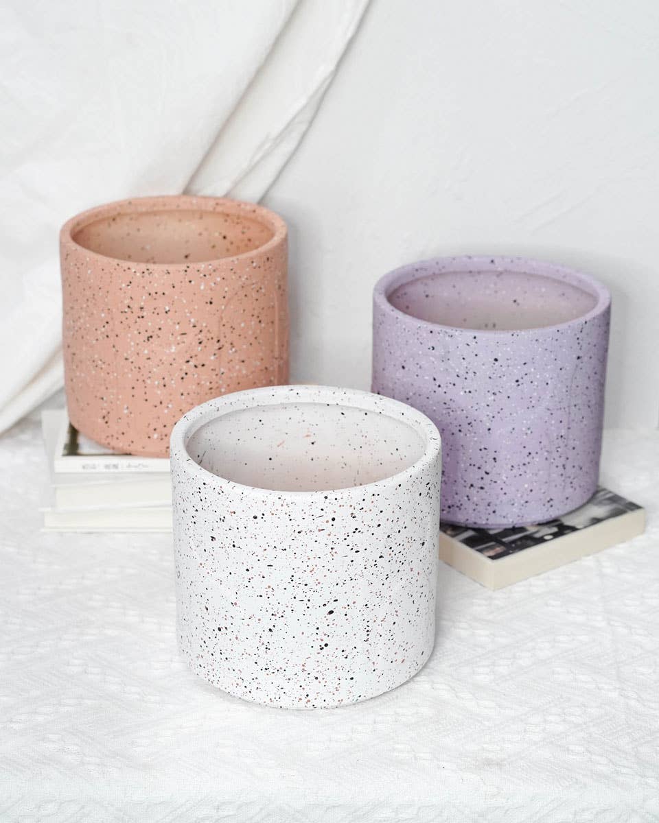 Springer Décor wholesale products