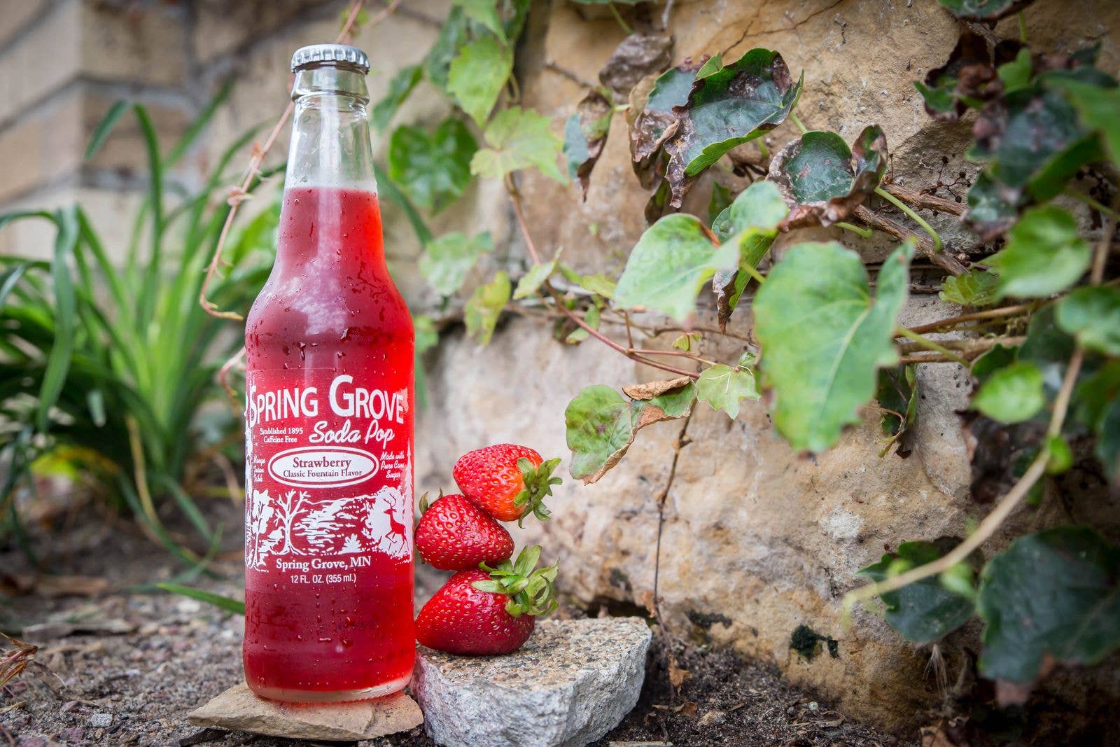 Spring Grove Soda Pop wholesale products