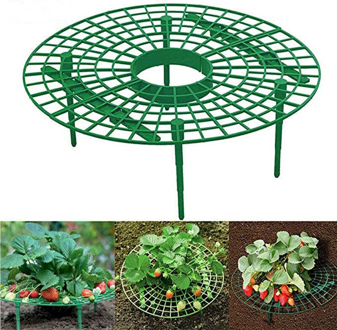 Wholesale Crawling Plants Height Riser Stand Support Elevated Growing ...