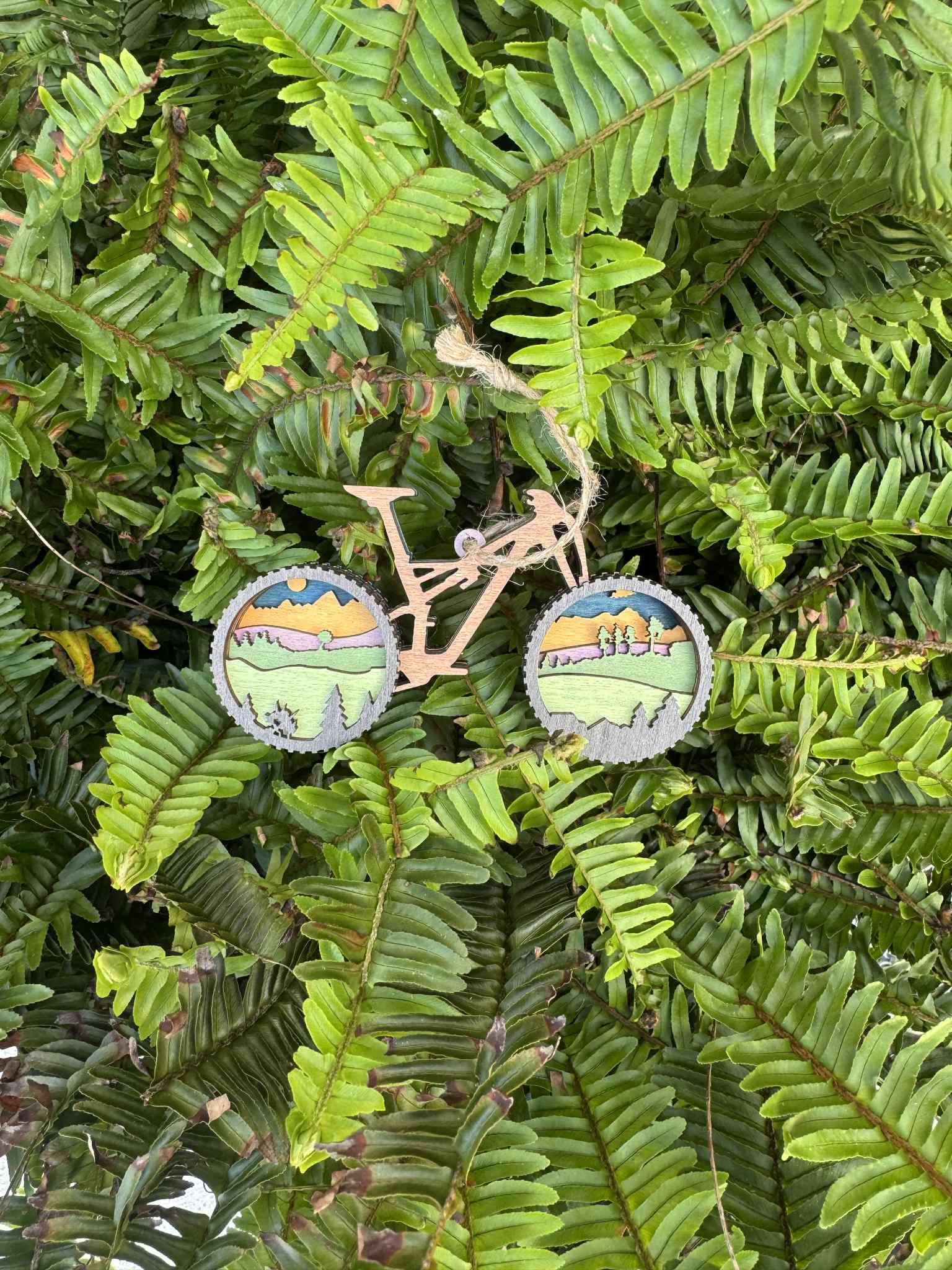 Wholesale Colorful Bike for your store - Faire