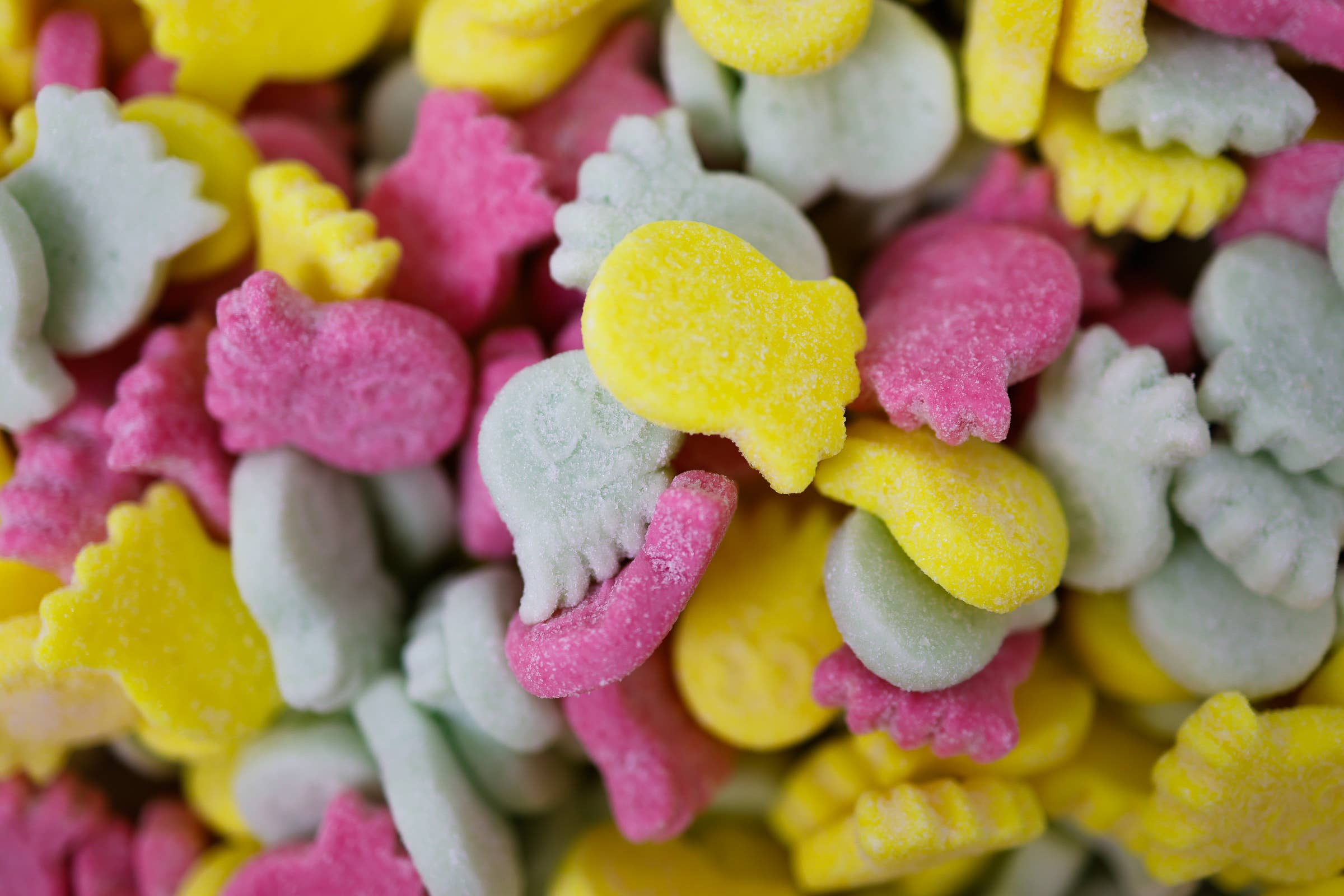 Candy Stockroom- A Sweetish Company wholesale products