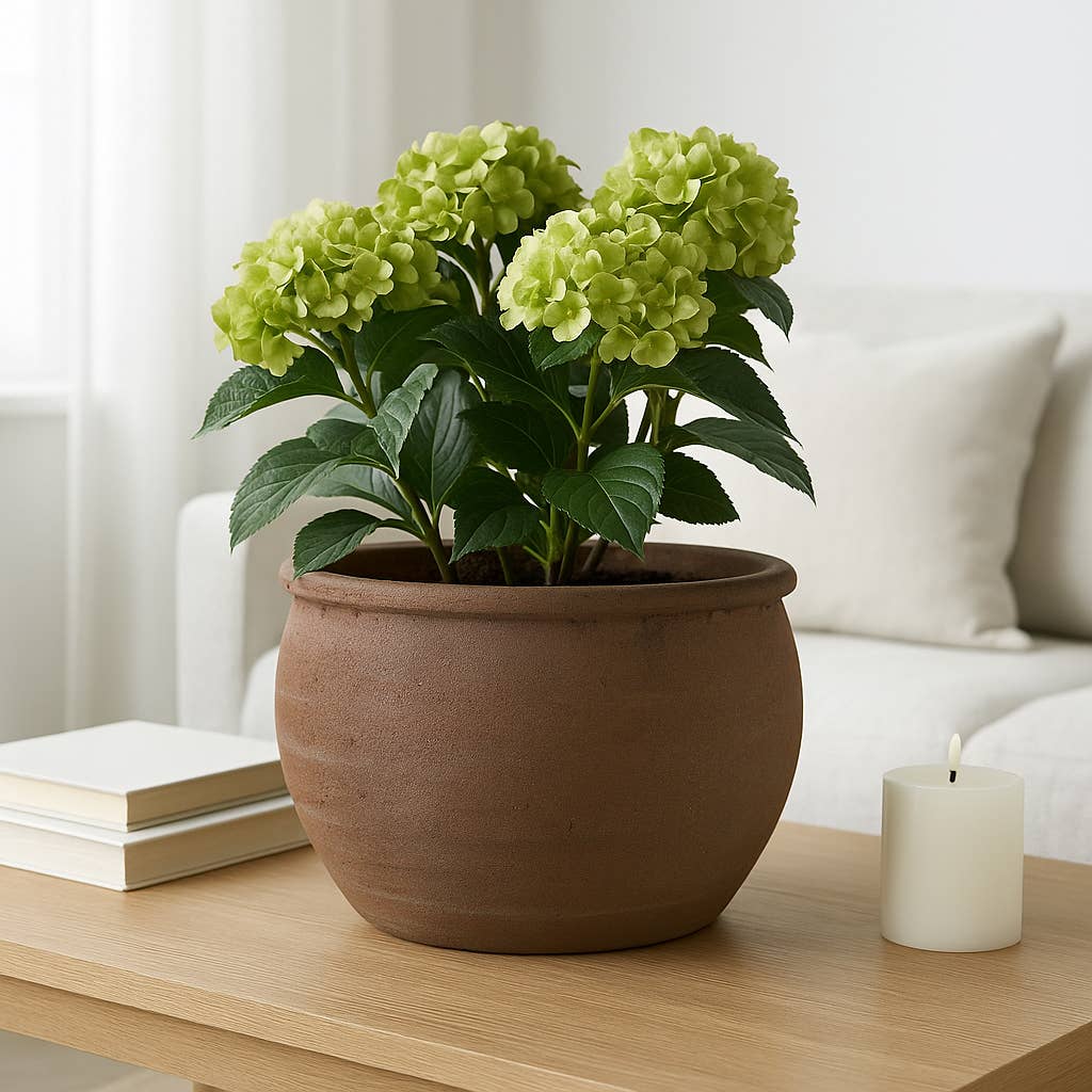 Wholesale large terracotta pots for your store