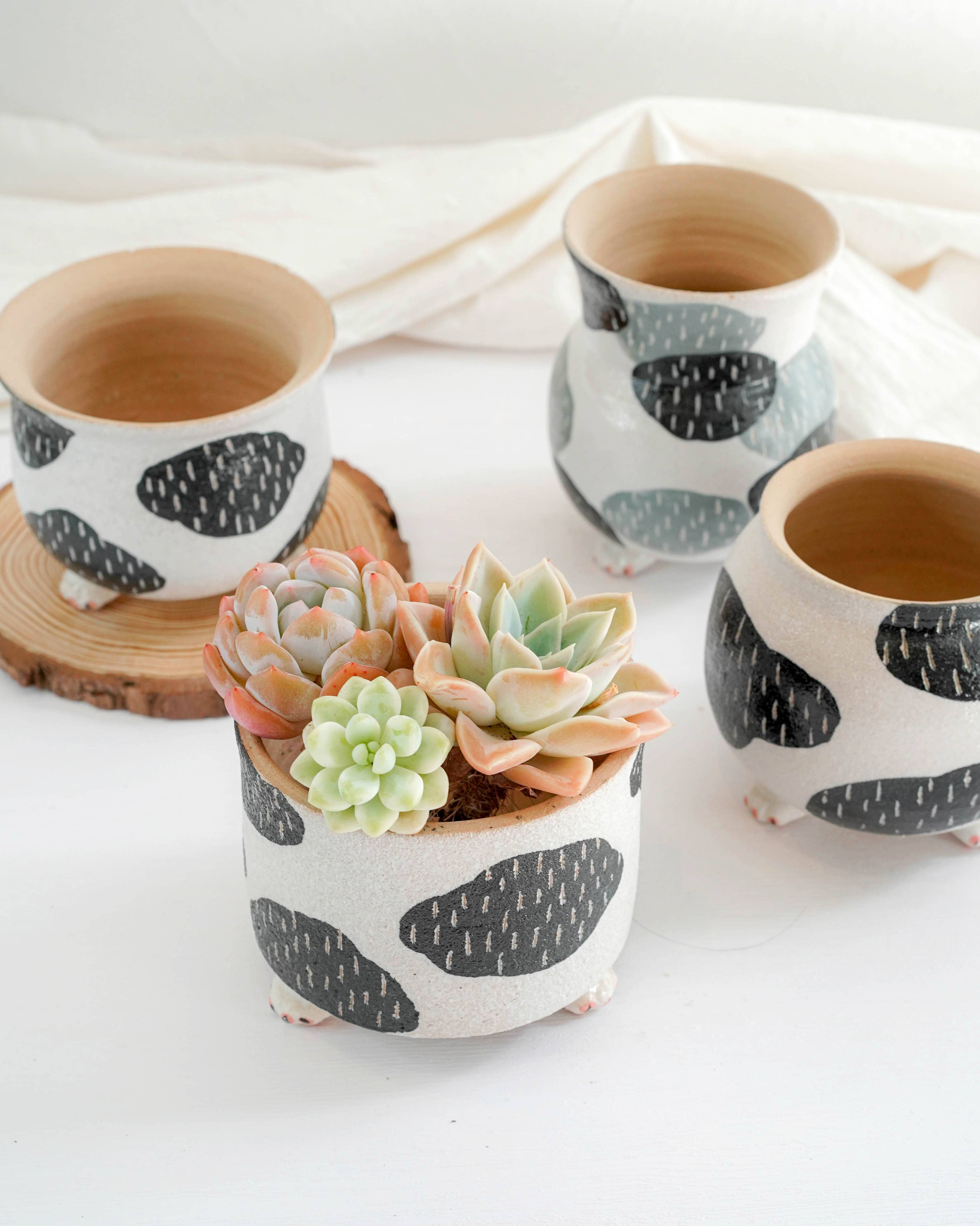 Springer Décor wholesale products