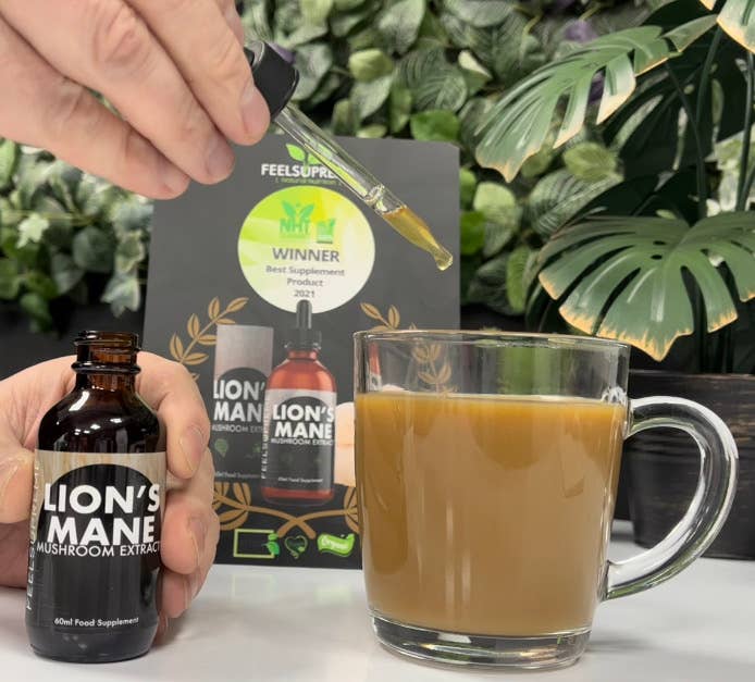 Wholesale Lions Mane Mushroom Tincture | Dual extracted | Dropper for ...