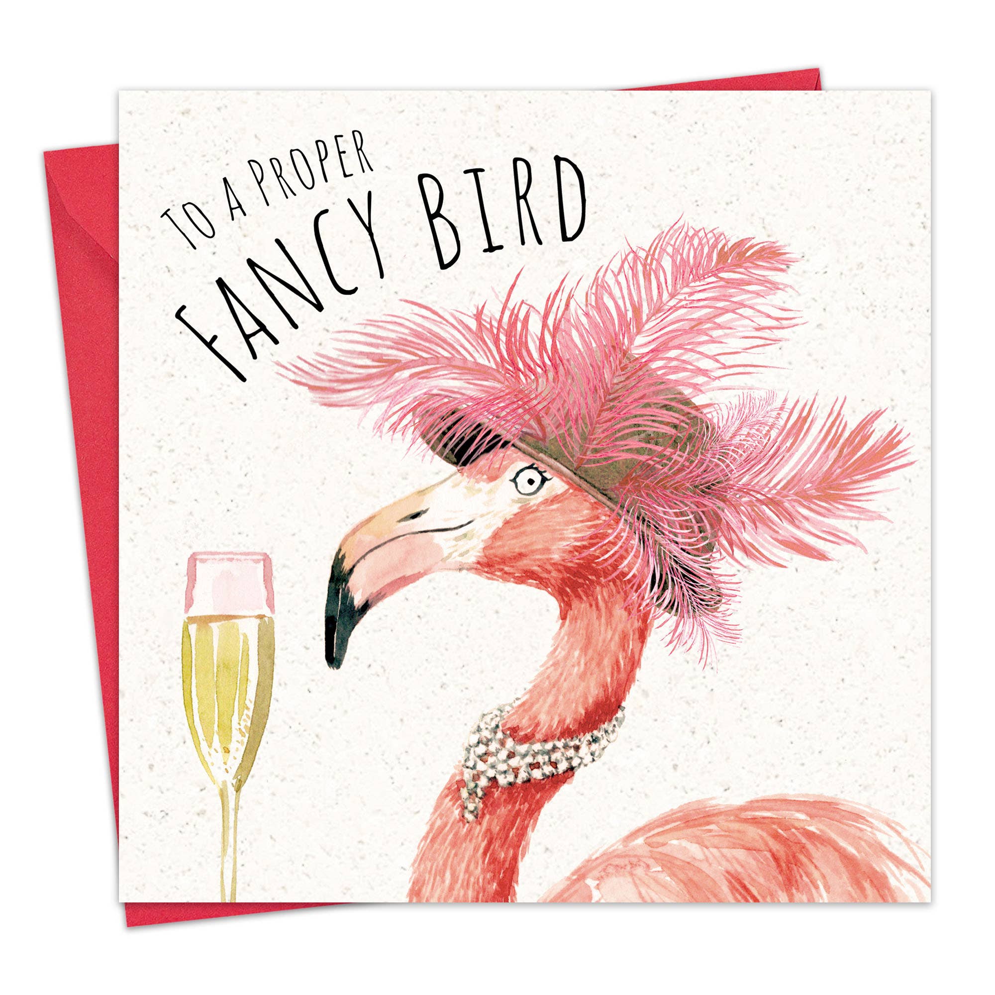 Wholesale Fancy Bird - Funny Birthday Card for your store - Faire