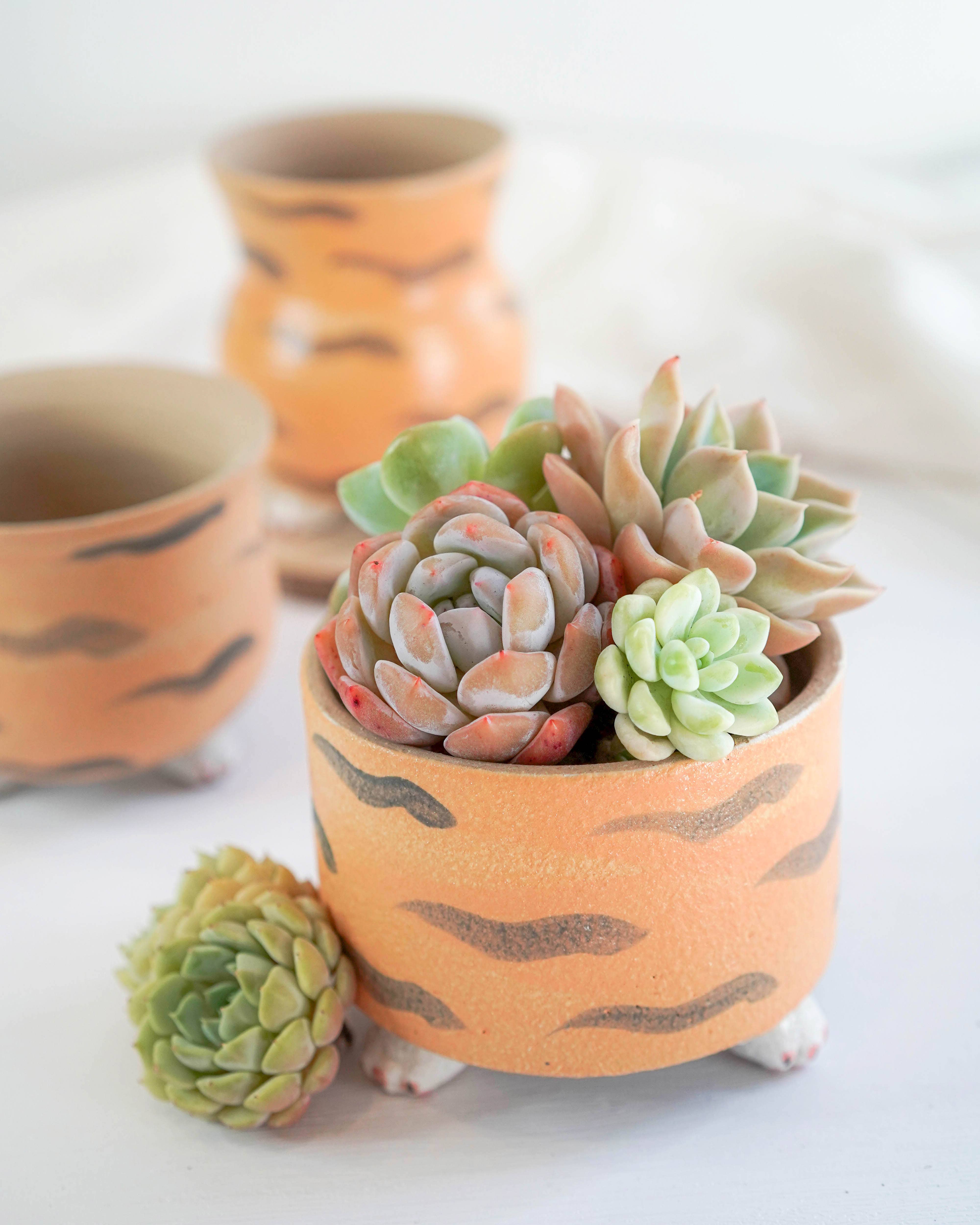 Springer Décor wholesale products