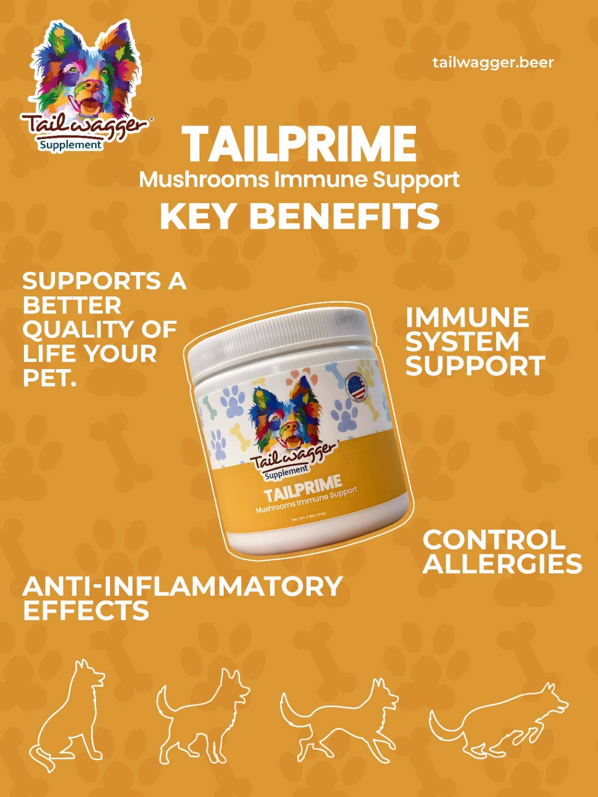 Tailwagger Dog Beer wholesale products