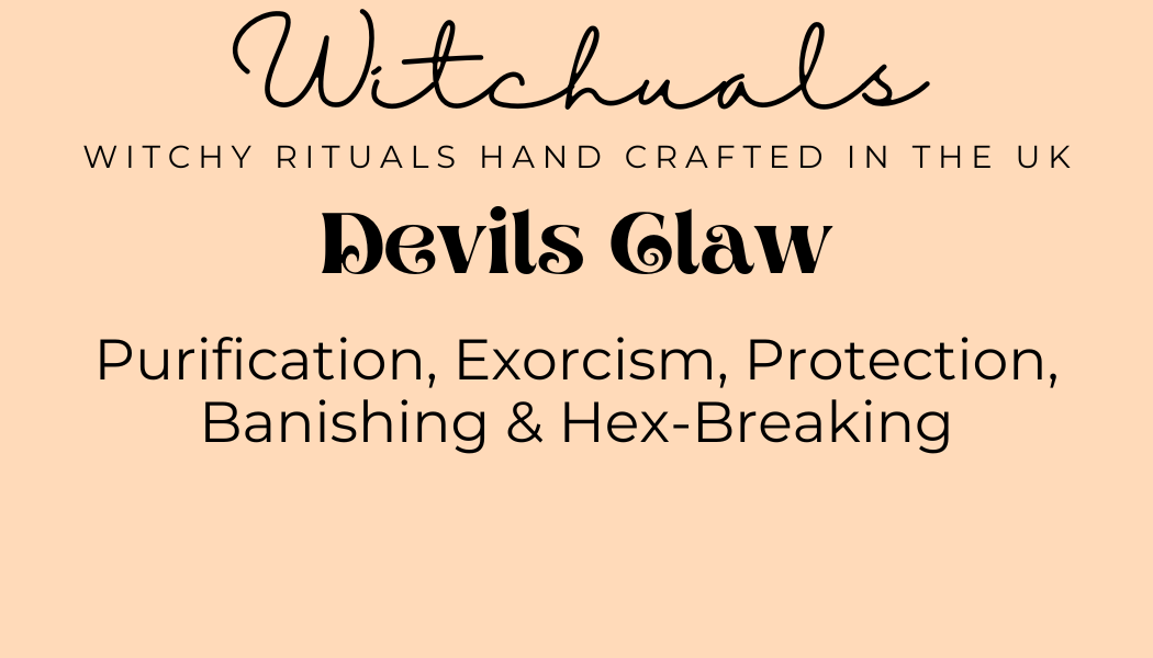 Wholesale Devils Claw for your store - Faire