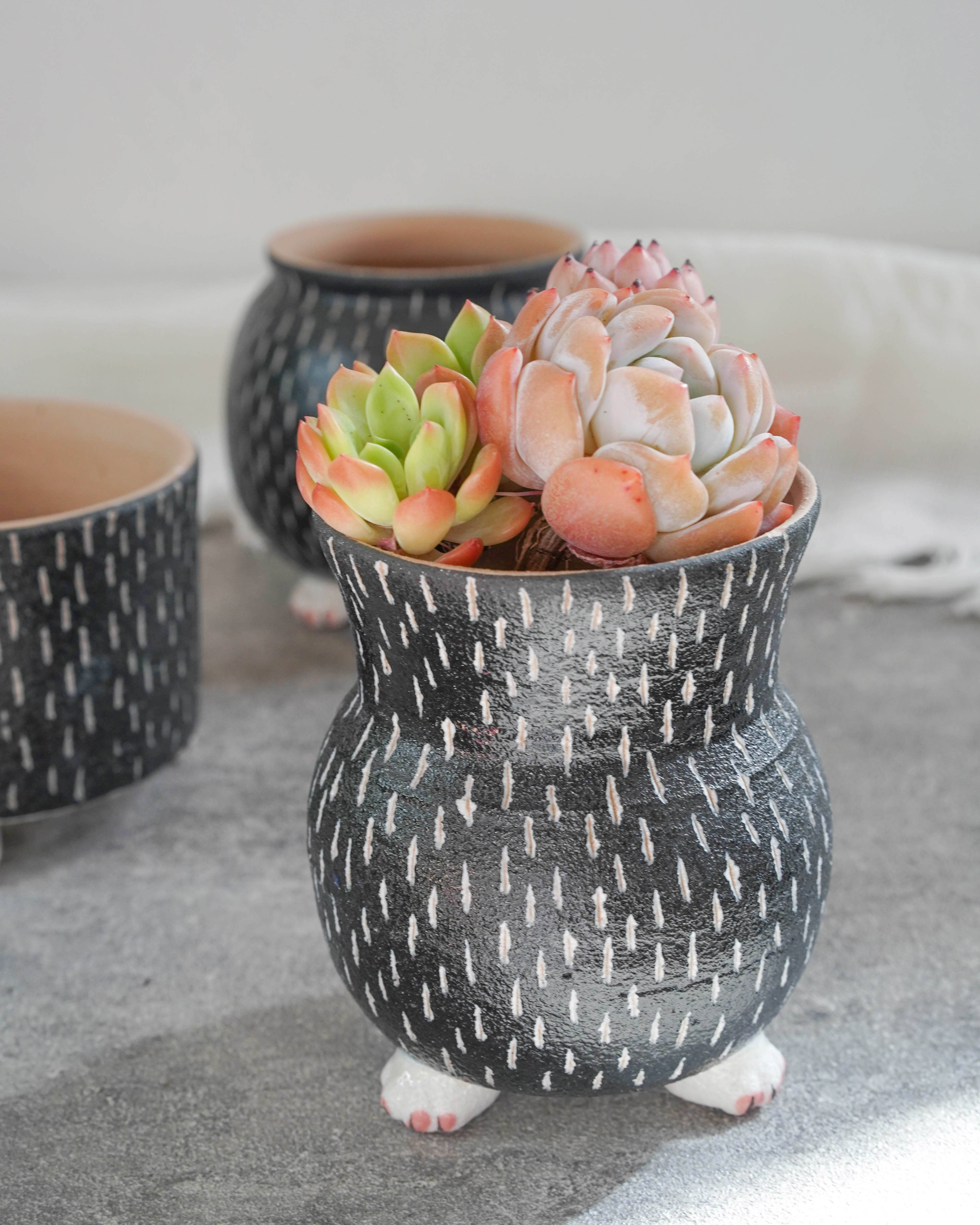 Springer Décor wholesale products