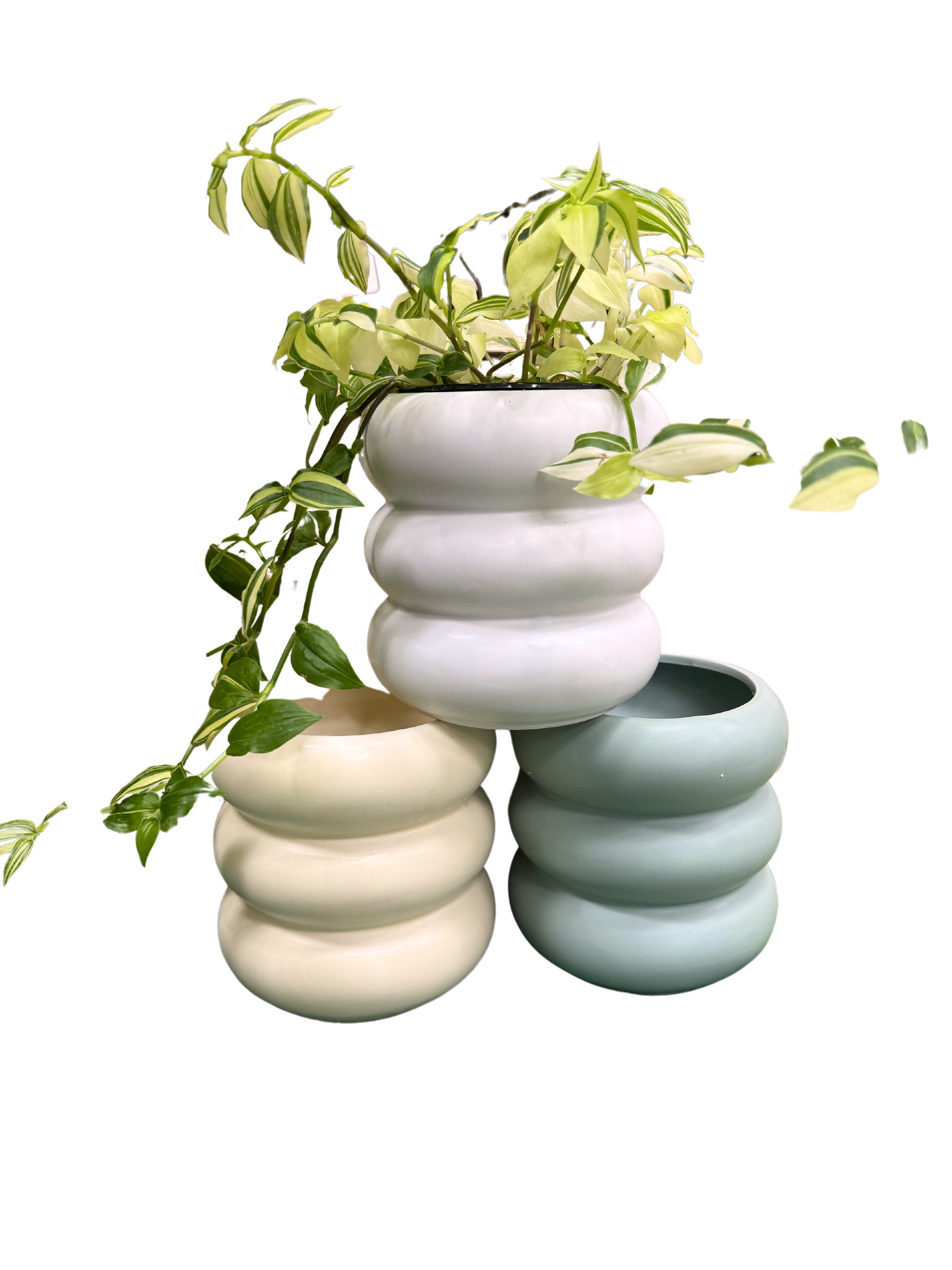 Springer Décor wholesale products