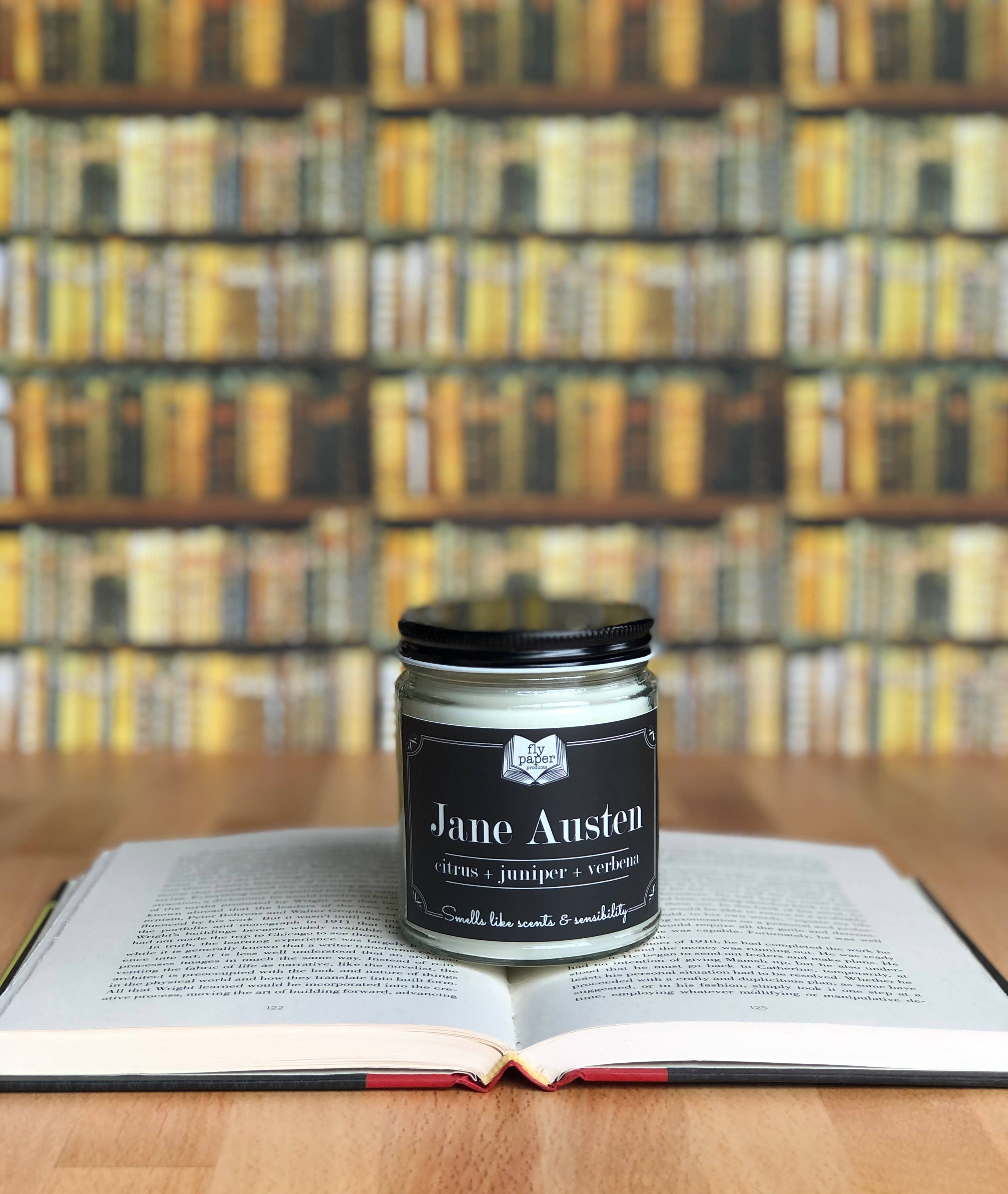 Fly Paper Products wholesale products