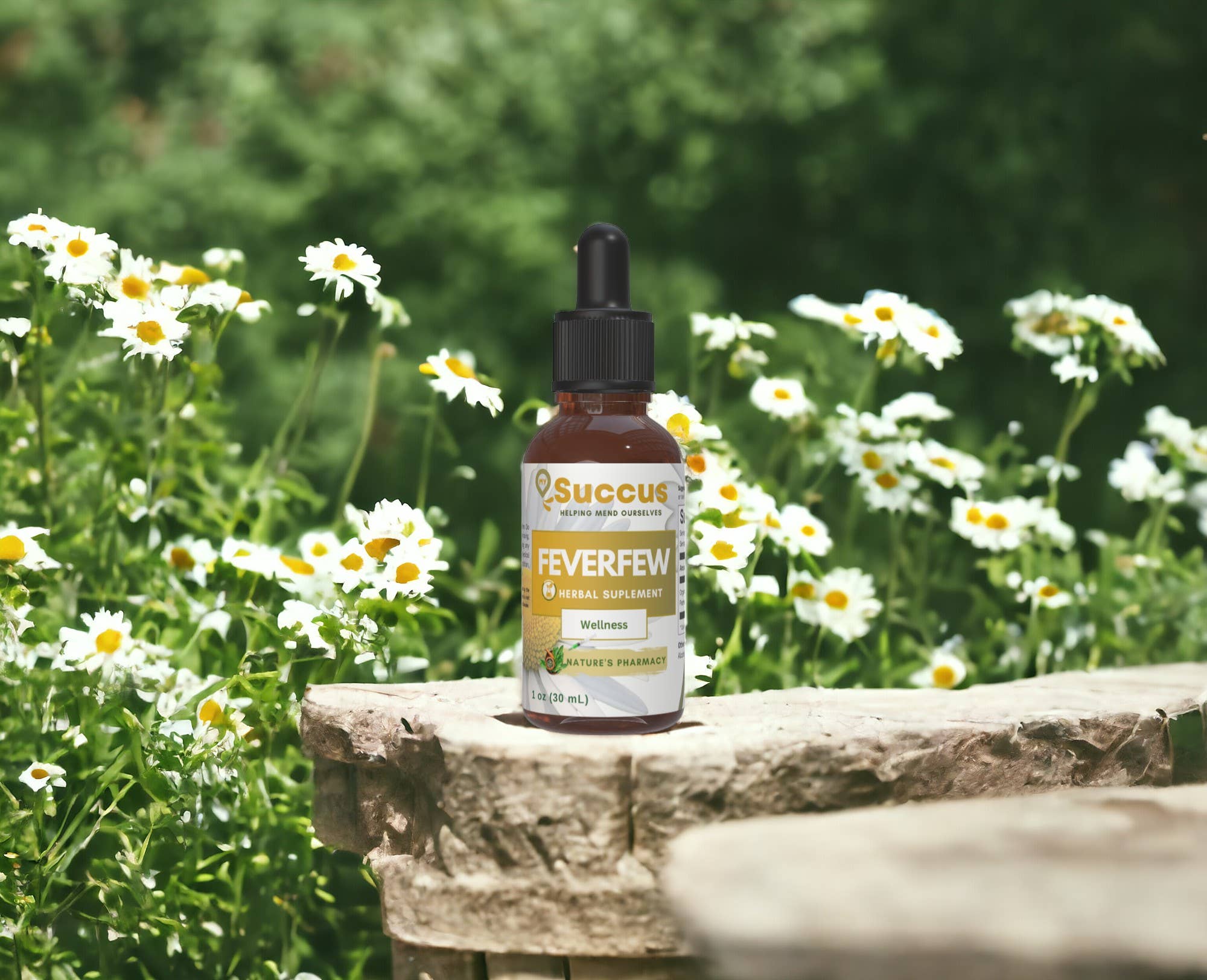 Succus wholesale products