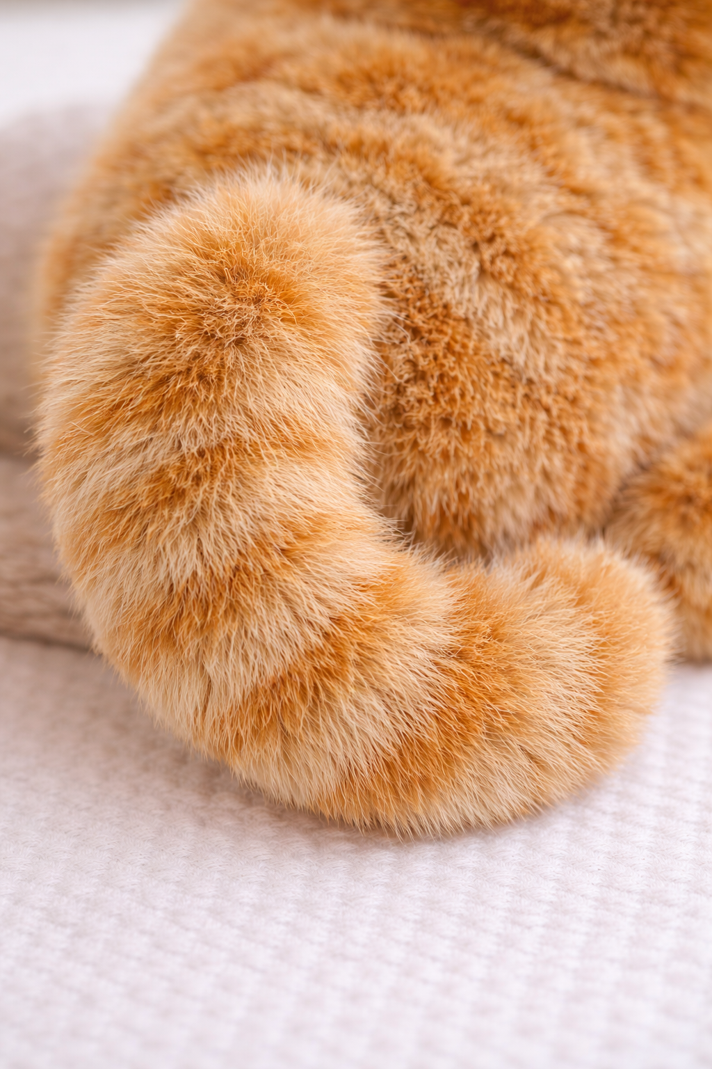 Wholesale Furry Cat Stuffed Animal 25cm Orange Tabby Kitty for your ...