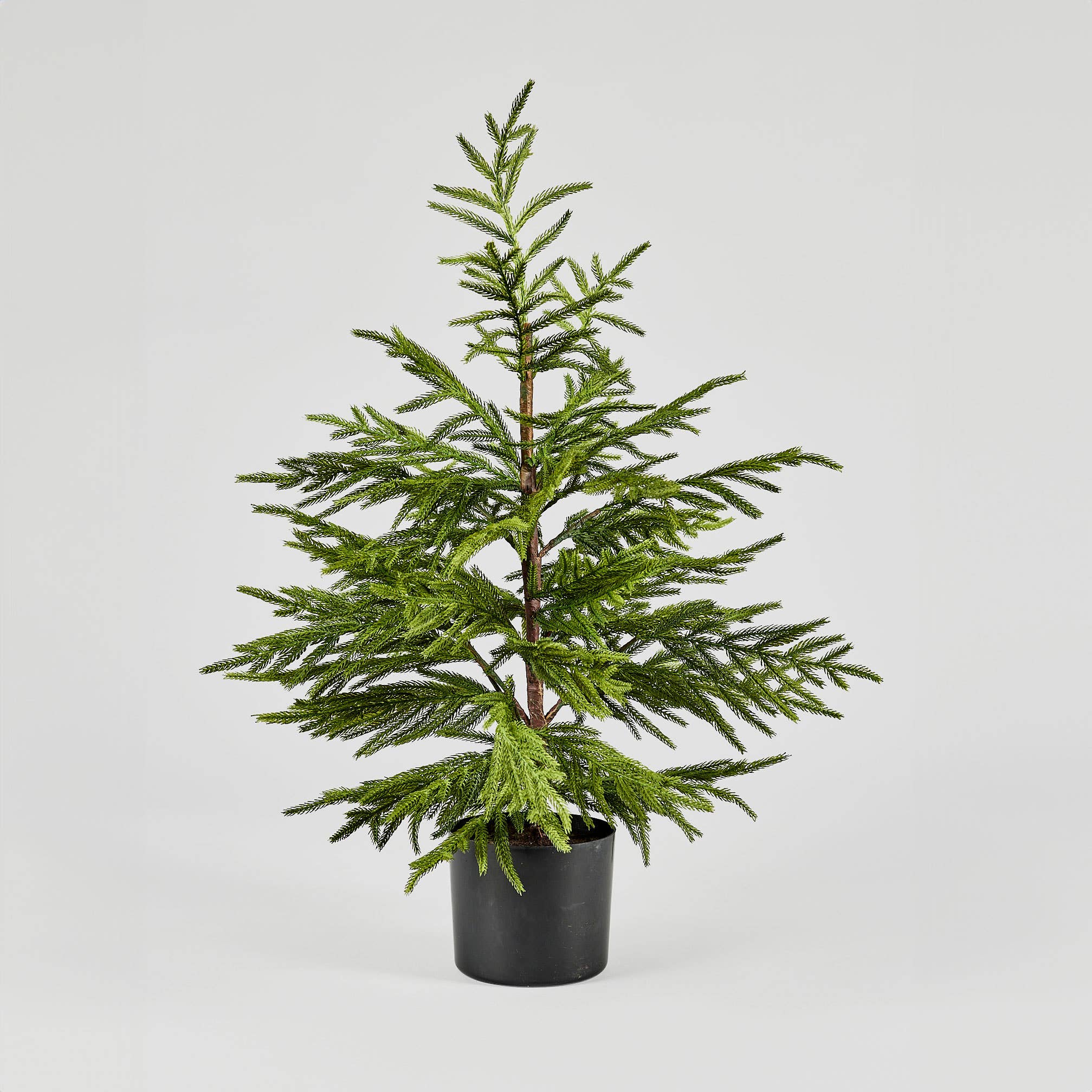 Wholesale christmas tree for your store