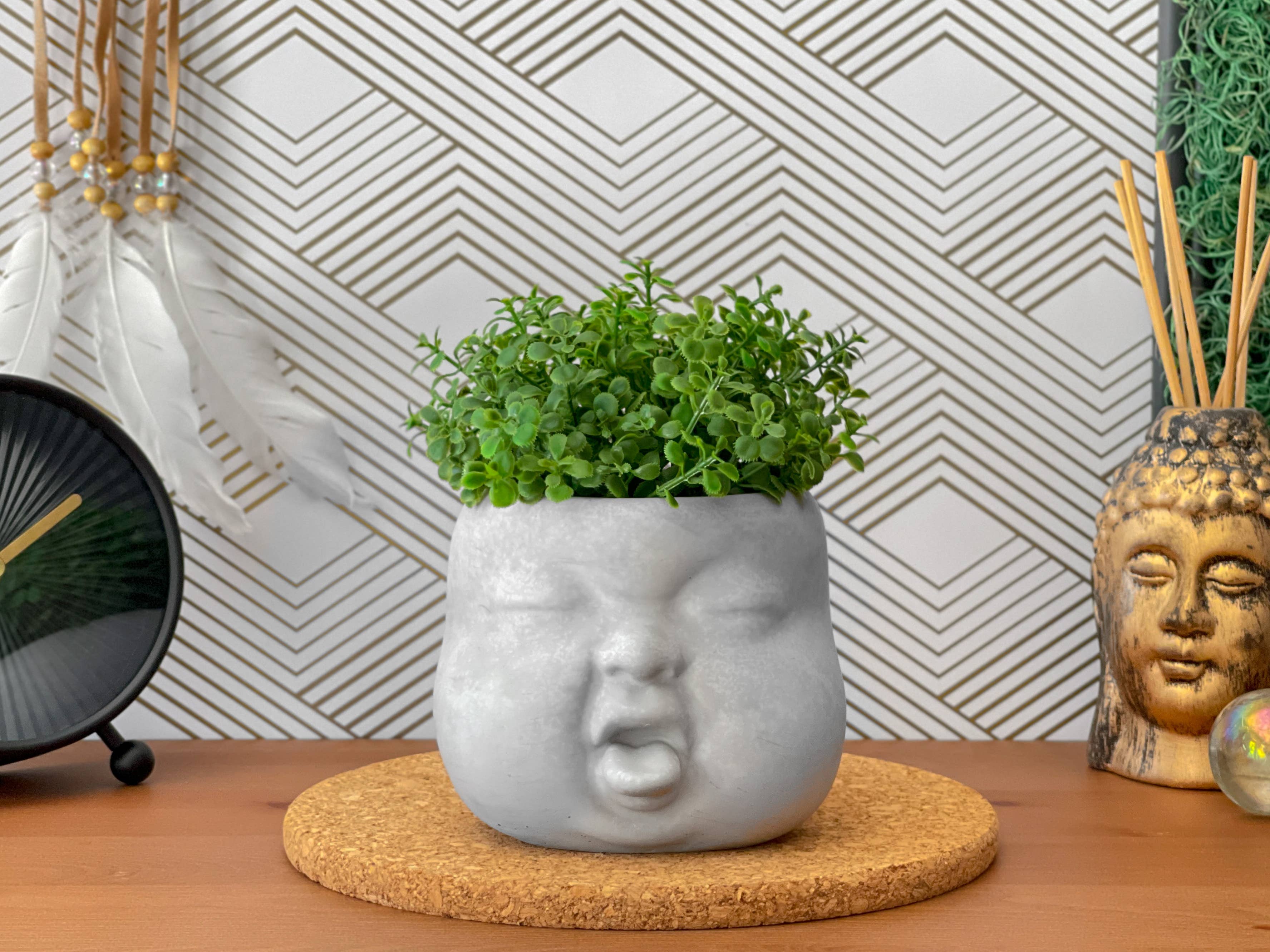 Wholesale Baby Face Flower Pot, Head Planter Pot, Succulent Planter for ...