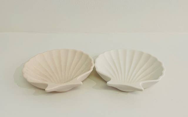 Wholesale shell dish for your store
