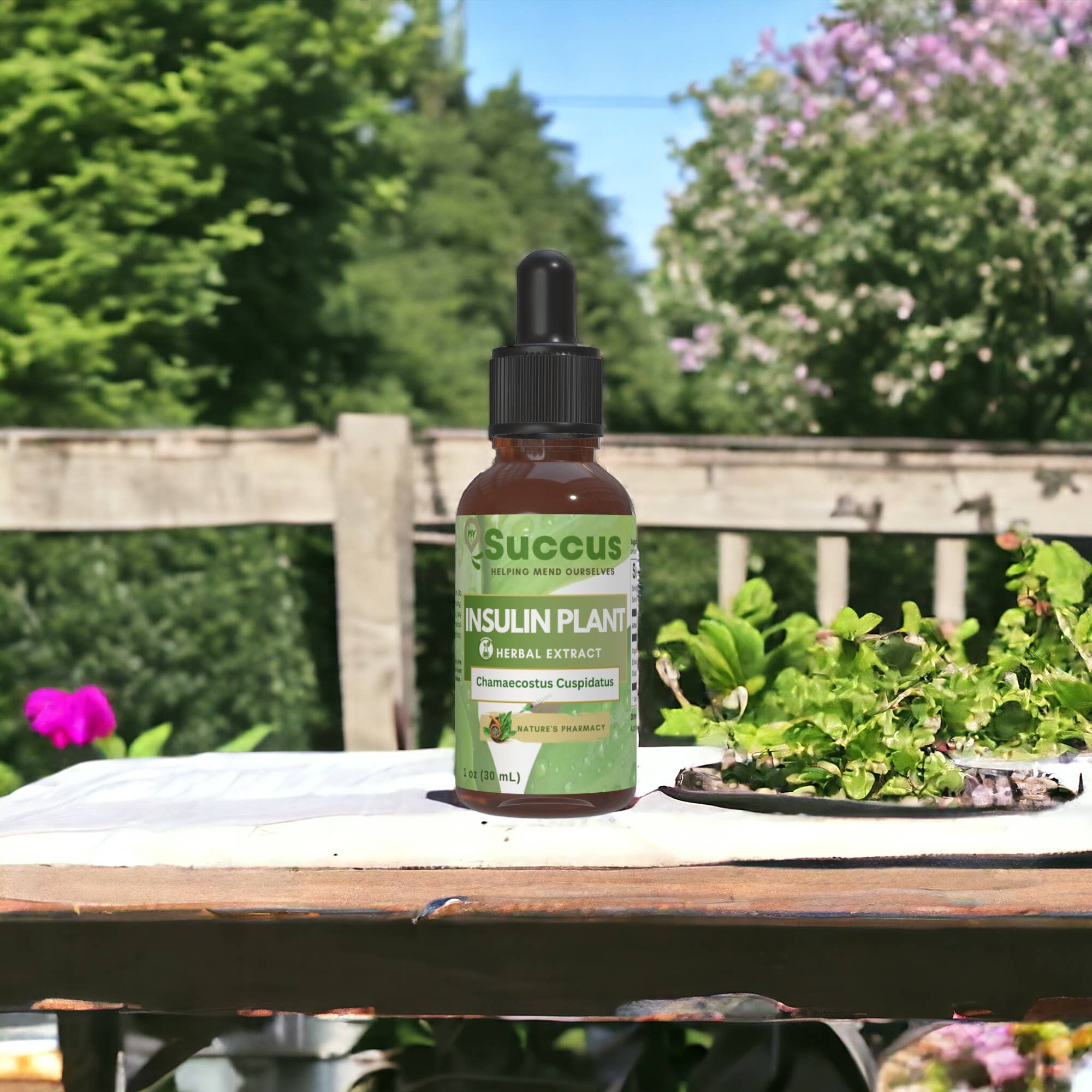 Succus wholesale products