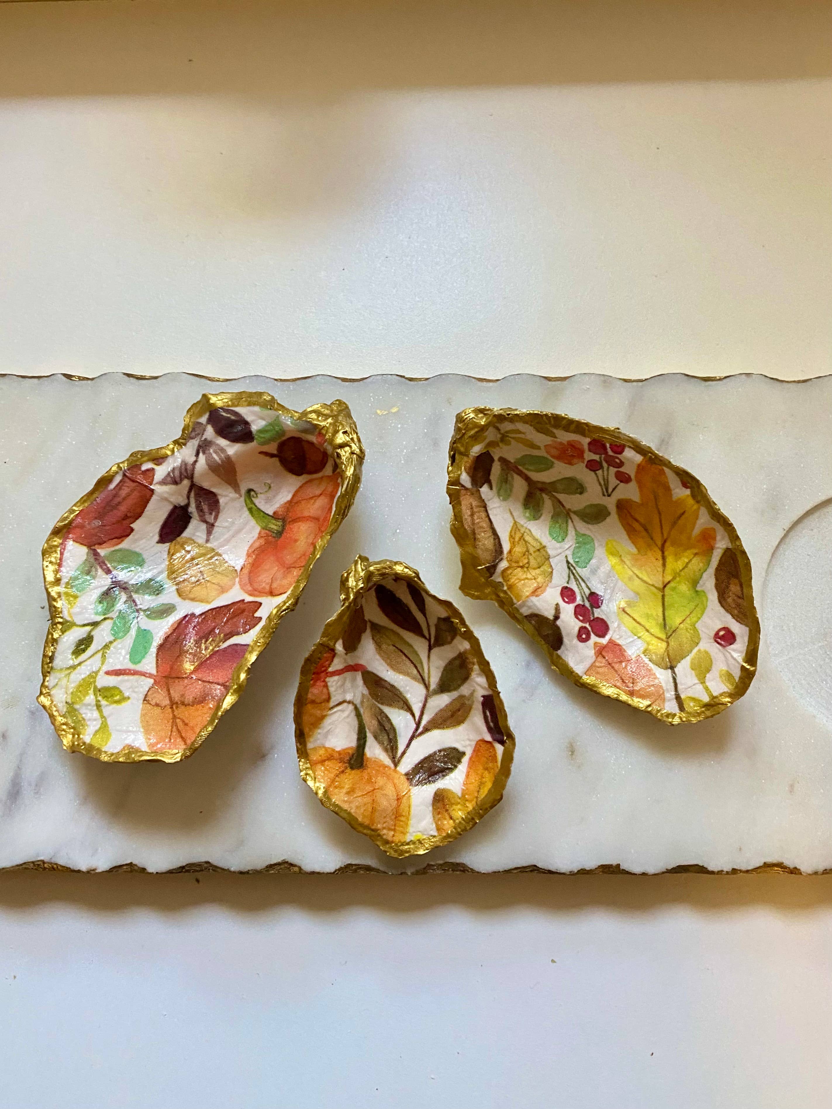 Wholesale shell dish for your store