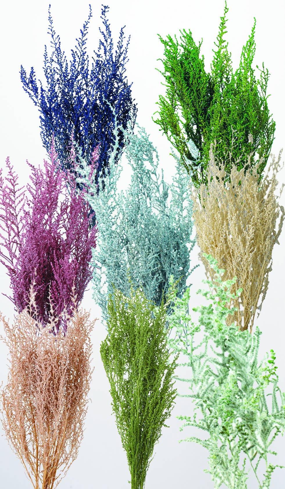 2626 Designs wholesale products