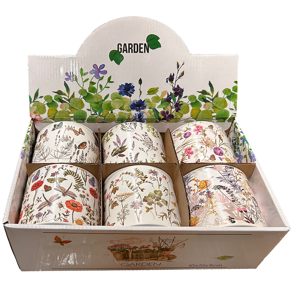 Wholesale pots & plants for your store