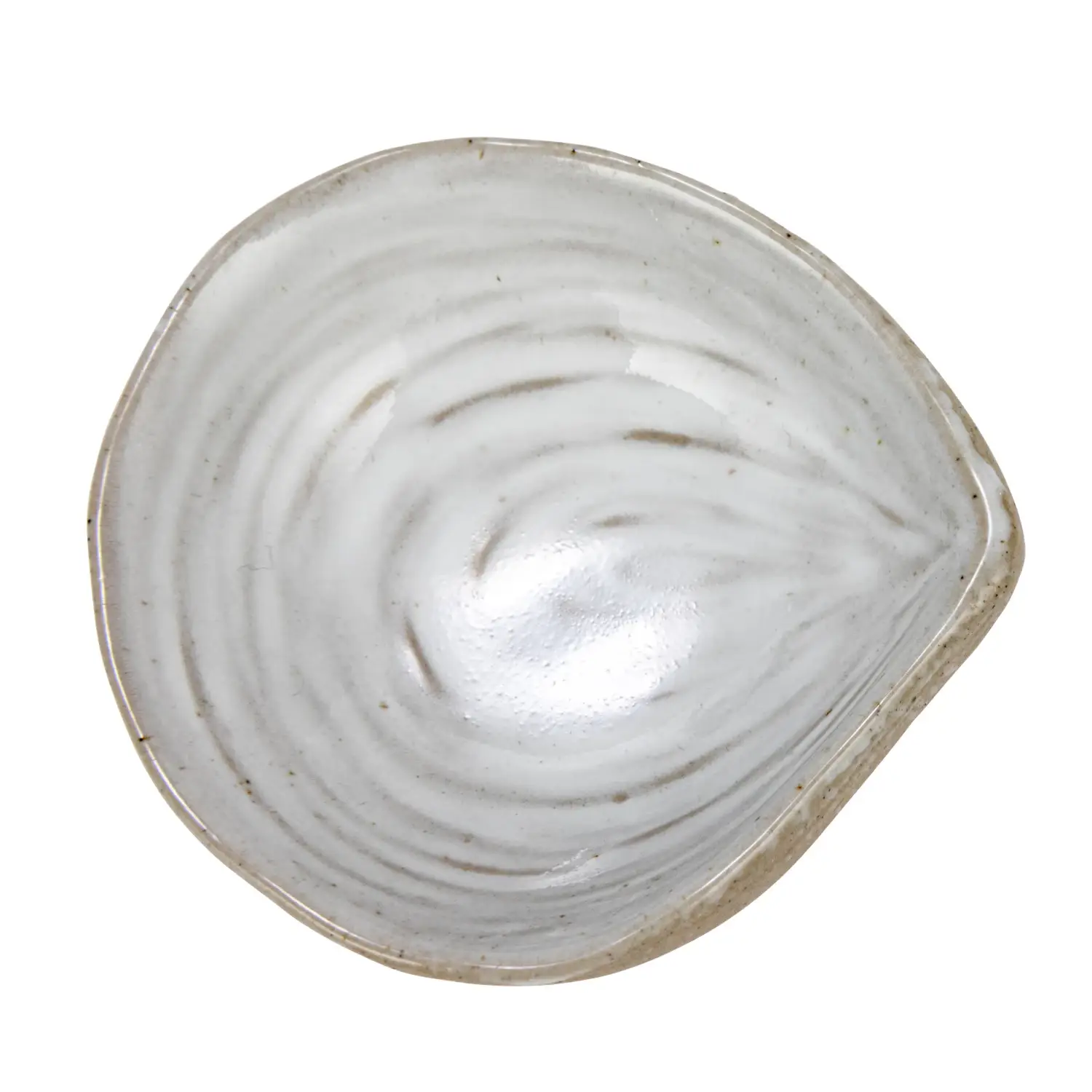 Wholesale shell dish for your store