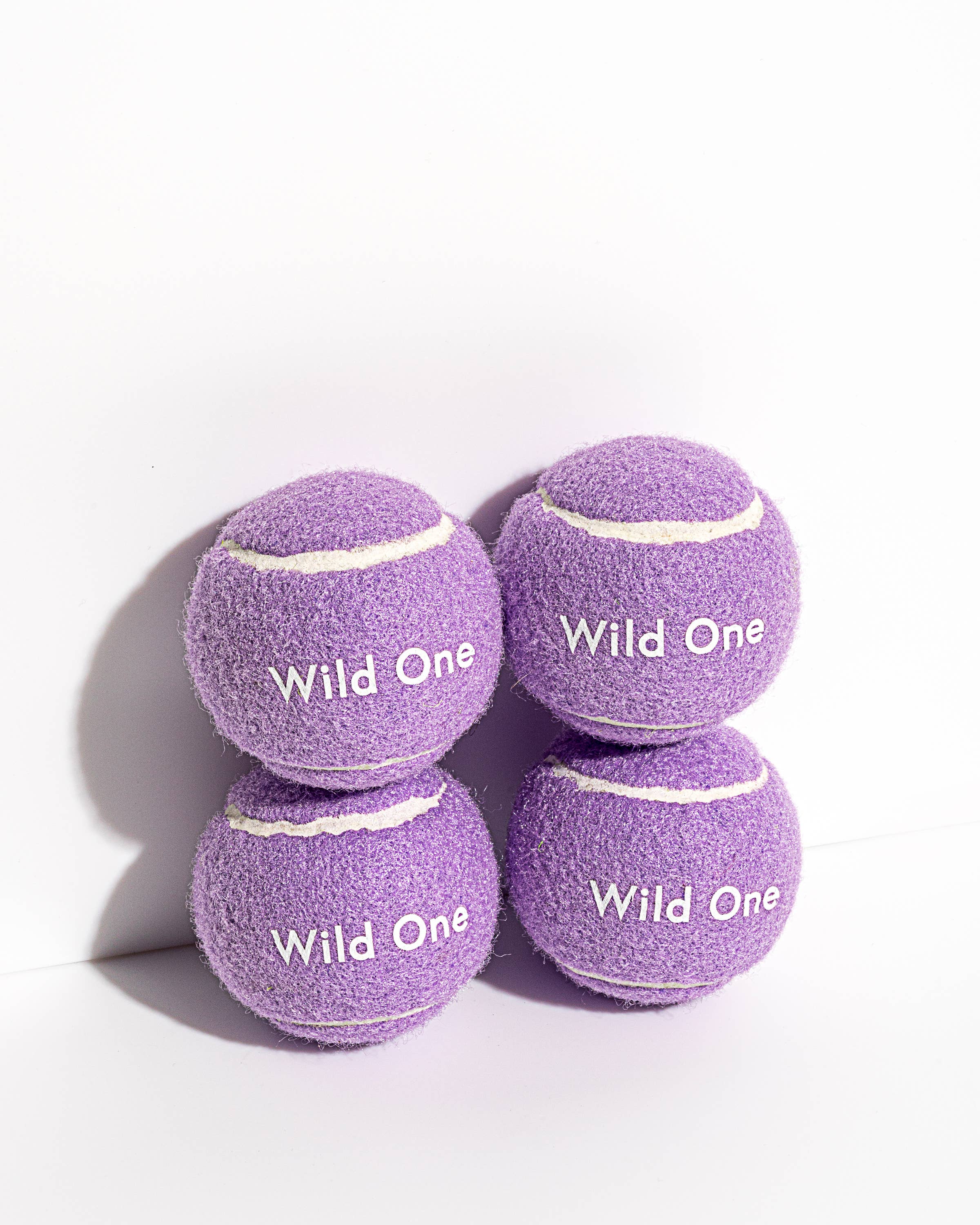 Wild One wholesale products