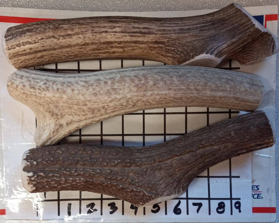 Michigan Antler Chews - All Rocky Mountain Antlers wholesale products