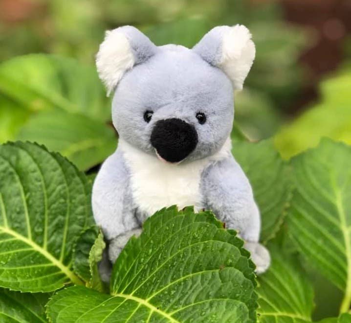 Wholesale Plush Mini Koala Bear for your store - Faire
