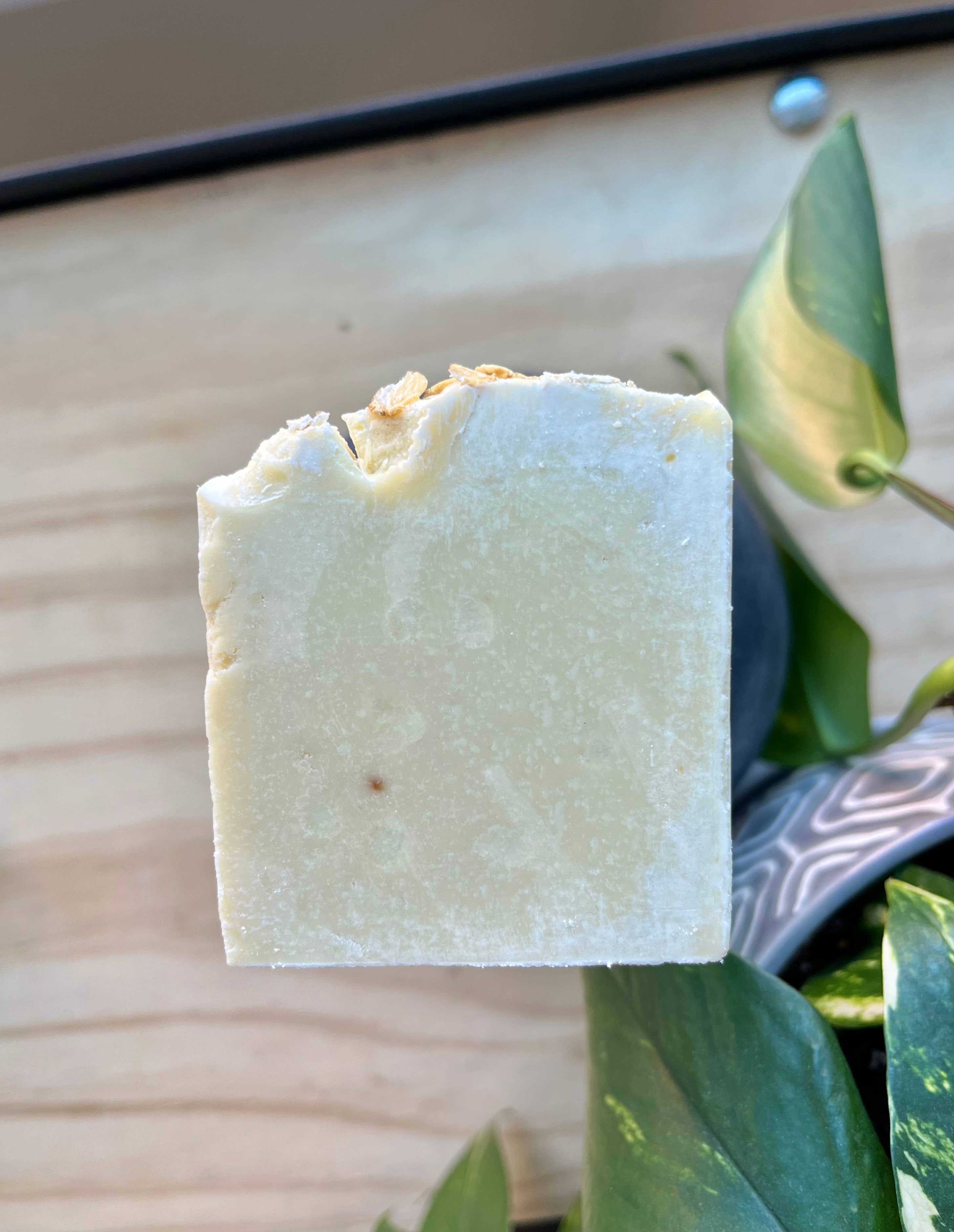 Rayne Refillery wholesale products