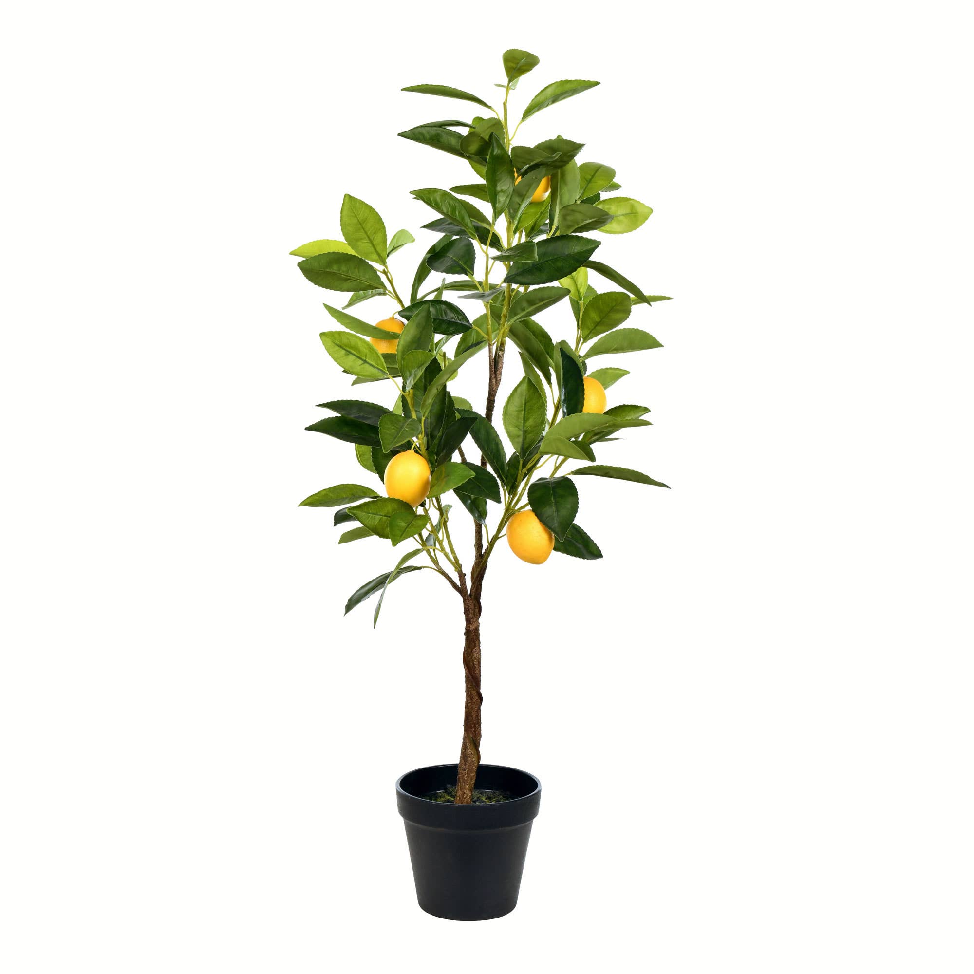 Vickerman wholesale products