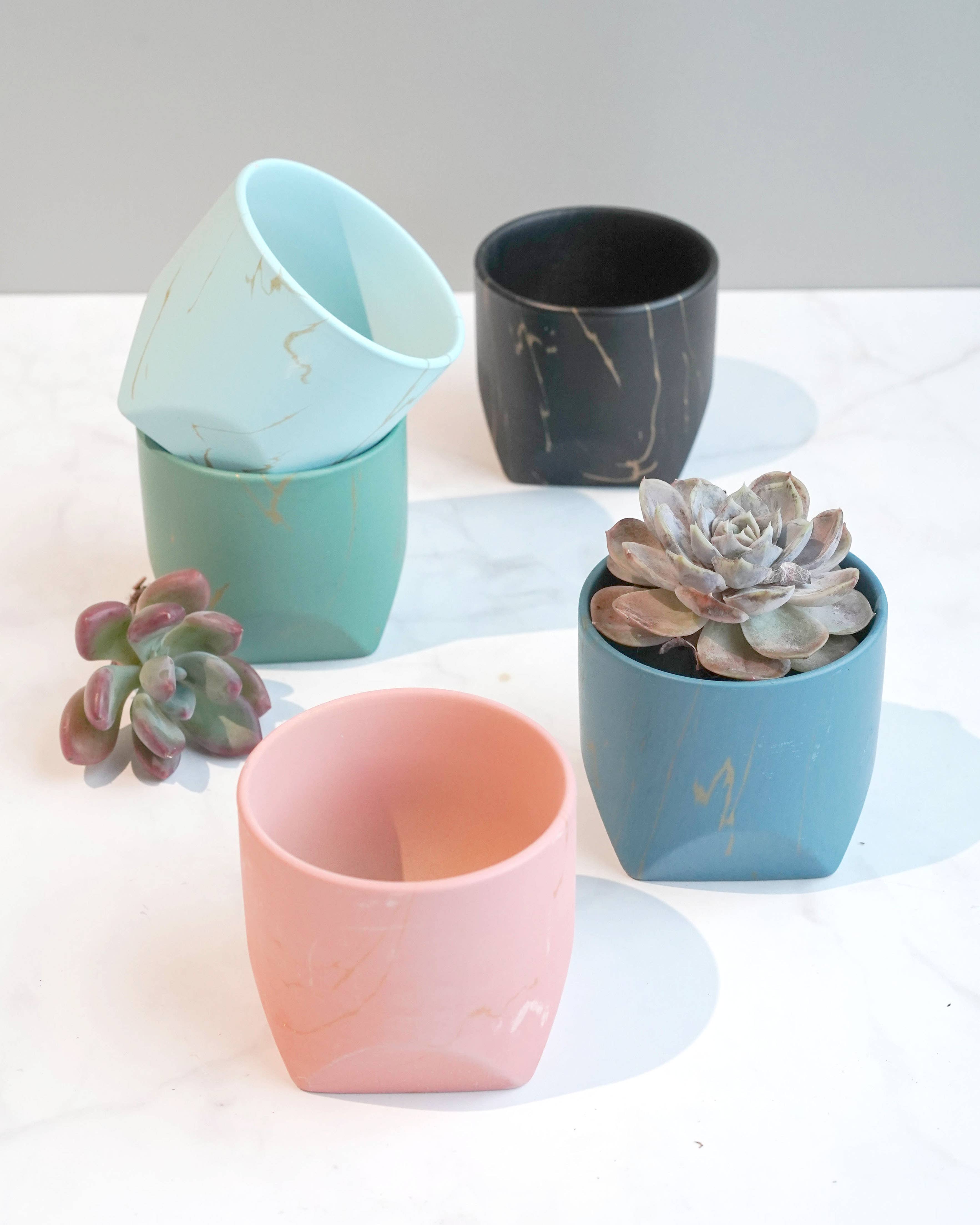 Springer Décor wholesale products