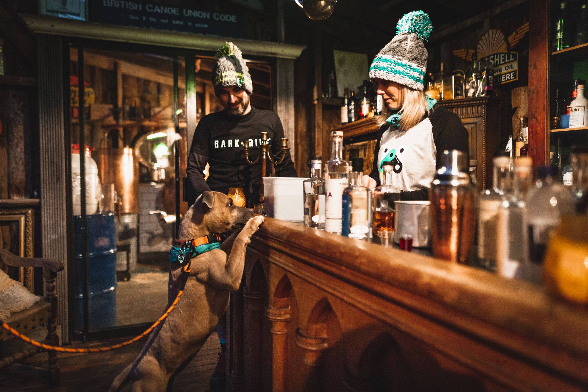 BARK + RIDE Wholesale Products | Buy with Free Returns on Faire.com